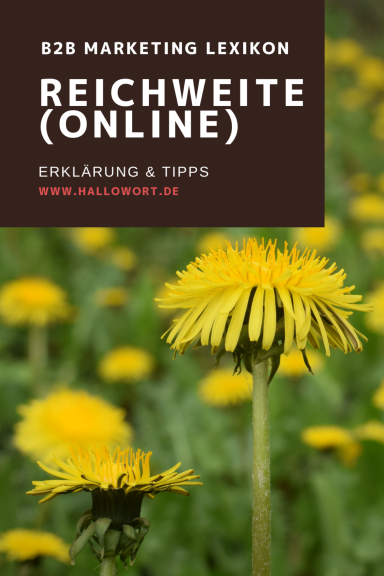 Reichweite im Online-Marketing erklärt [B2B] - HalloWort Textdesign